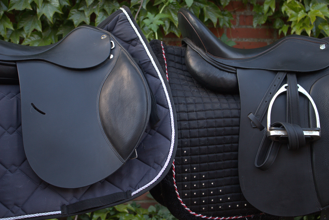 Arten von Pferdesätteln - Dein Sattelfinder